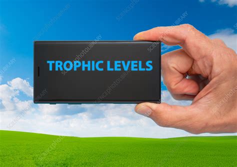 Trophic Levels Stock Image F0441653 Science Photo Library