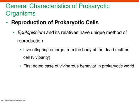 Characterizing And Classifying Prokaryotes Ppt Download
