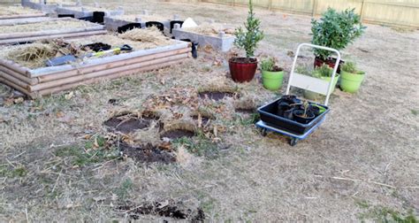 So Ready To Plant The Garden — Patchwork Times By Judy Laquidara