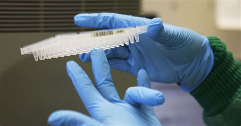 Pathogens Sometimes Escape The Lab With Deadly Results Vox