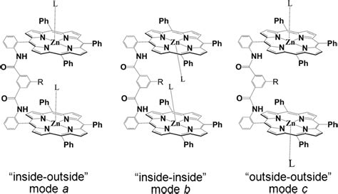 possible binding modes between host and guest molecules l represents
