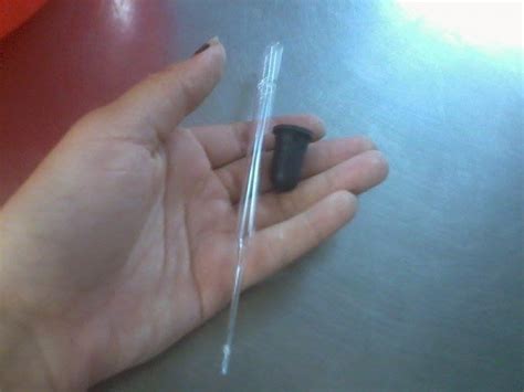 Blog De Parasitología Practica 3 Montaje Directo Con Lugol