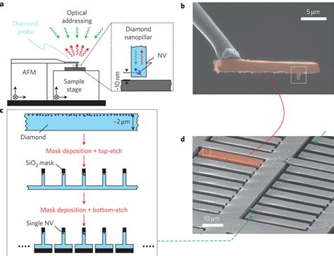 Experimental Set Up And Probe Fabrication For The Scanning Nv Sensora