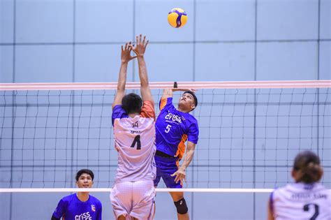 Photos Spikers Turf
