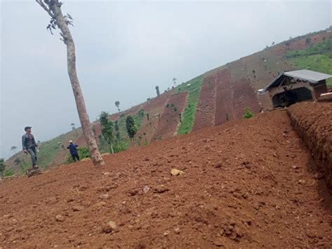 Di Jual Lahan Kebun Produktif Di Nagrak Pacet Kota Bandung IDRumah