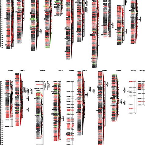 The Skf2 Linkage Map And Positions Of Qtls For Agronomical Traits