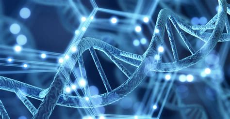 Conceptos Básicos De Genética Homo Medicus