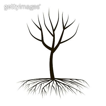 Leafless Tree With A Root Vector Isolated Image A Naked Creepy Image