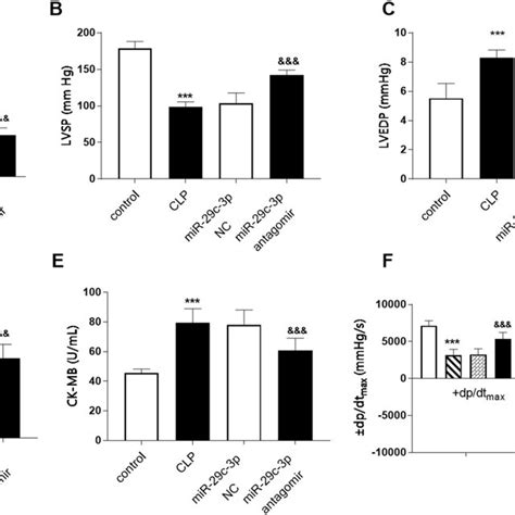 Influences Of Mir 29c 3p On Cardiac Function In Sepsis Rat Models A