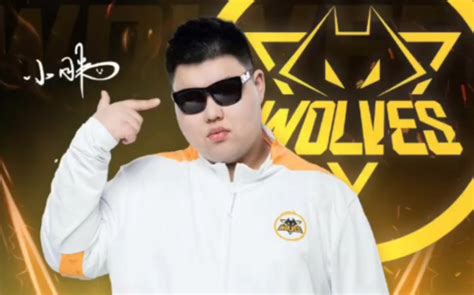 （高燃）重庆狼队小胖高光操作集锦！ Bilibilib站无水印视频解析——yiuios易柚斯