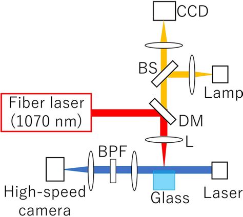 Experimental Setup Bs Beam Splitter Dm Dichroic Mirror L Achromat Download Scientific