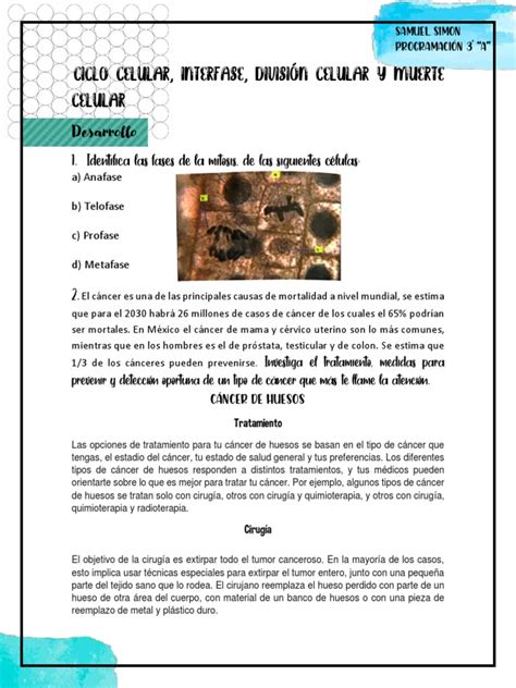 Biologia Ciclo Celular Samuel Simon Pdf