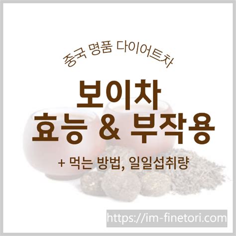 보이차 5가지 효능 부작용 일일섭취량 먹는 방법 총정리
