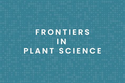 Frontiers In Plant Science Impact Factor 2024 Johna Babette