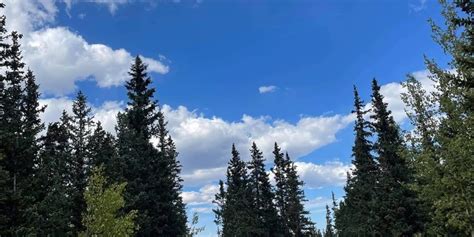 Tristan Onlyfans Tristanvincent02 Review Leaks Videos Nudes