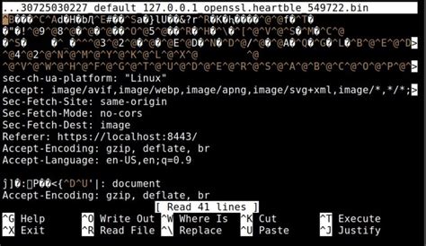 Heartbleed Vulnerability Explained Hackercool Magazine