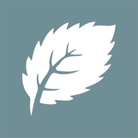 Cedarmint Trading Instagram Facebook Linktree