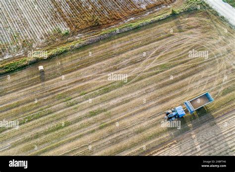 A Tractor With A Trailer With Potatoes In Potato Harvesting Aerial