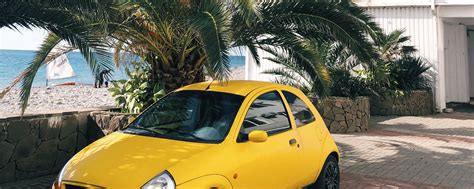 На зимовку Куда пойти и чем заняться в Сочи 2025 ВКонтакте