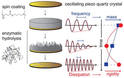 Enzymatic Hydrolysis Of Polyester Plastics