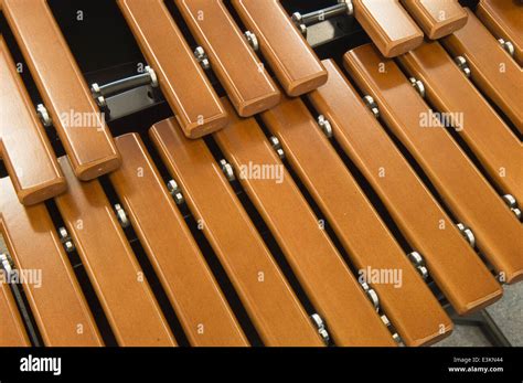 What Are Xylophone Keys Made Of At Robert Fabry Blog