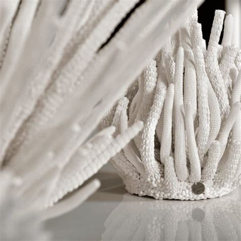 Algaea S Sculptures Tzuri Gueta