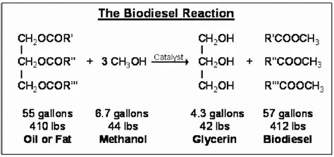 A Schematic Representation Of The Transesterification Of Triglycerides