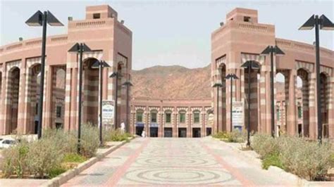 تفاصيل الالتحاق بجامعة طيبة التكنولوجية للعام الجامعي 2023 مصراوى