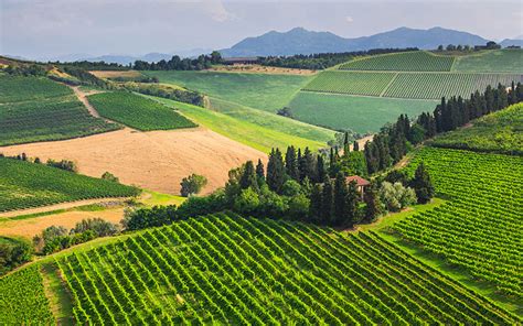 Visitare Il Chianti Cosa Fare E Vedere Guida Alle Vacanze Nel Chianti