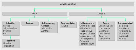 A Persistent Vulval Ulcer The BMJ