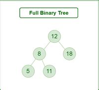 Full Binary Tree Geeksforgeeks
