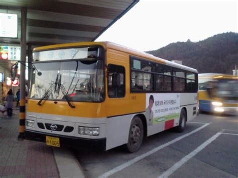 홍천터미널에서 목격한 홍천군내버스 금강고속대한교통현대교통 네이버 블로그