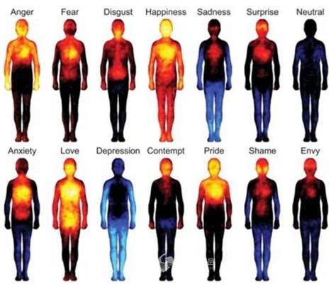 사랑 분노 행복신체감정지도는 말한다