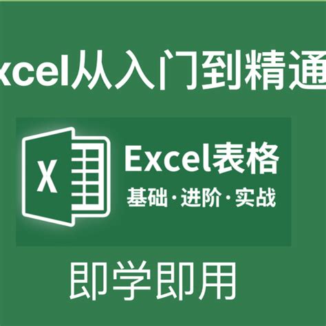 Excel使用技巧数据筛选和排序快速找到和整理数据