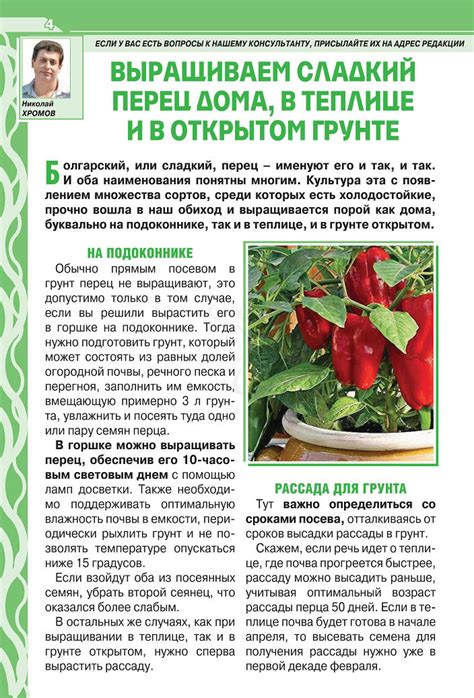 Журнал | Дачный сезон №1-2 (январь 2024) [PDF] :: NNM-Club