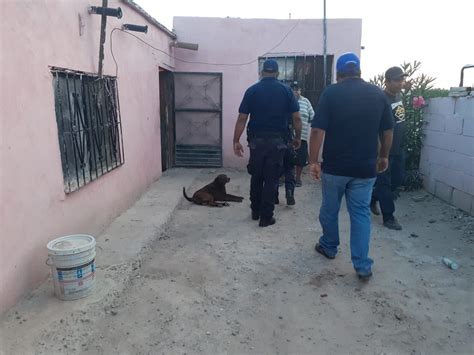 Roban Casa En Coahuila Y Se Llevan Hasta La Despensa Grupo Milenio