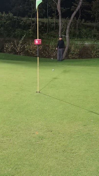 딱10미터 😱ㅋ저스틴토마스형님 필살기 떵퍼유샷 ㅎ 골프 골프존 골프레슨 퍼터 스크린골프 퍼팅 필드골프 필드레슨 골프장 필드 웨지56도웨지60도웨지