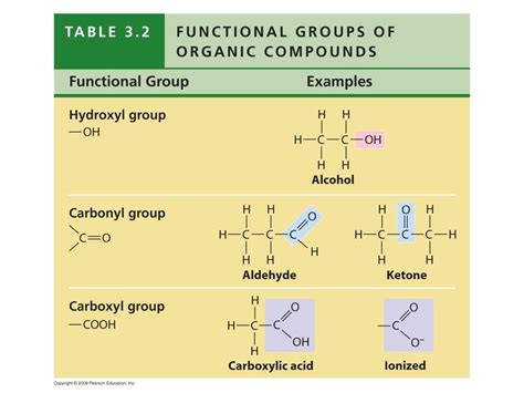 Chapter 3 The Molecules of Cells Lecture by Richard L. Myers - ppt download