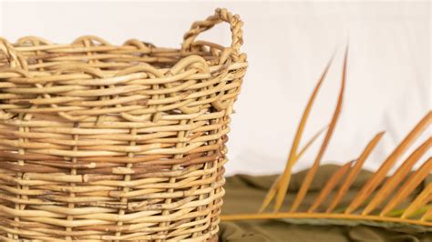 Wicker Vs Rattan Whats The Difference And Why Does It Matter That