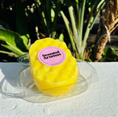Citronella Soap Sponge Natural Insect Repellent Scented Aromas