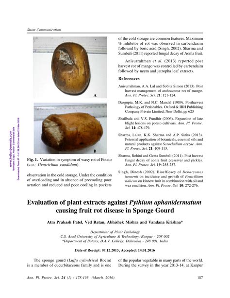 PDF Evaluation Of Plant Extracts Against Pythium Aphanidermatum Causing Fruit Rot Disease In