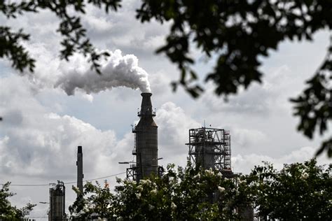 Biochar Is ‘low Hanging Fruit For Sequestering Carbon And Combating