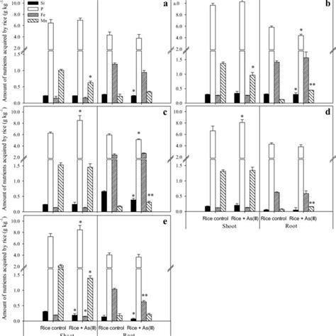 Nutrients Levels In Shoots And Roots Of Hydroponically Grown Seedlings