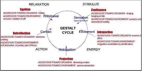 Therapy Corner Qanda The Gestalt Cycle The Contact Boundary And Its