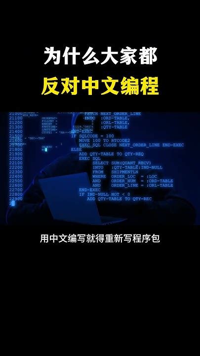 Ninja Omega Sec 为什么大家都反对中文编程？ 黑客 黑客技术 网络安全 中文编程 英文 Youtube