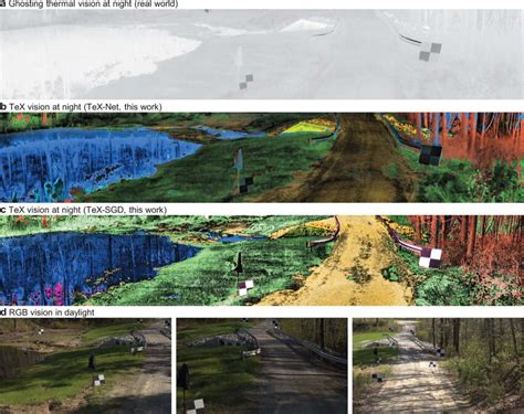 Hadar Tex Vision Demonstrated In Real World Experiments Scene Of