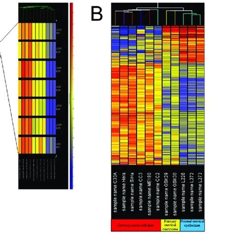 Gene Tree Clustering Analysis A Gene Tree Clustering Analysis For Download Scientific