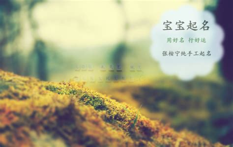 楚辞中儒雅诗意男孩子名字 知乎