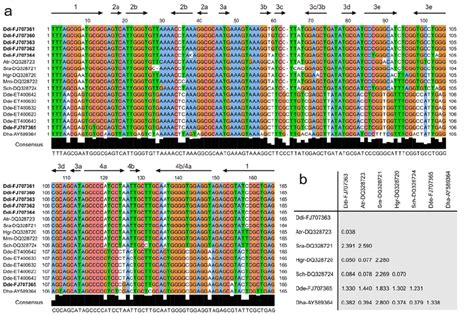 A Multiple Sequence Alignment Of The D3 Lsu 28s Rdna Sequences The Download Scientific
