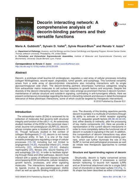 Decorin Binding Partners And Functions Pdf Cell Signaling